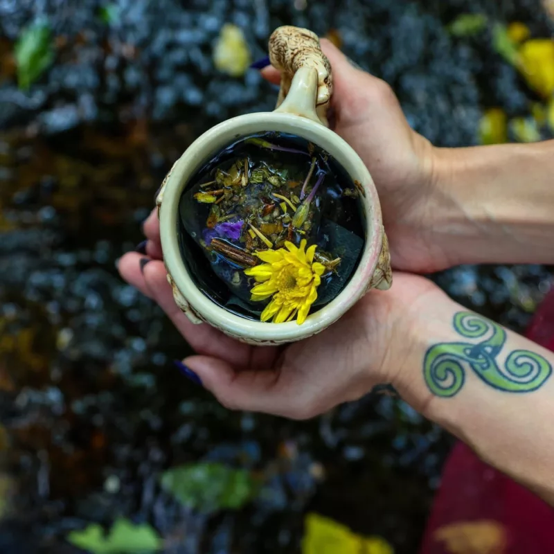 Sip, Savor, and Soothe: A Close Look into the Wellness Wonders of ...