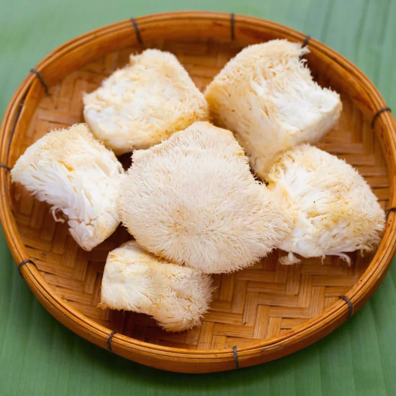 Why Lion’s Mane is a Superfood: Top 3 Health Benefits | Franny's Farmacy